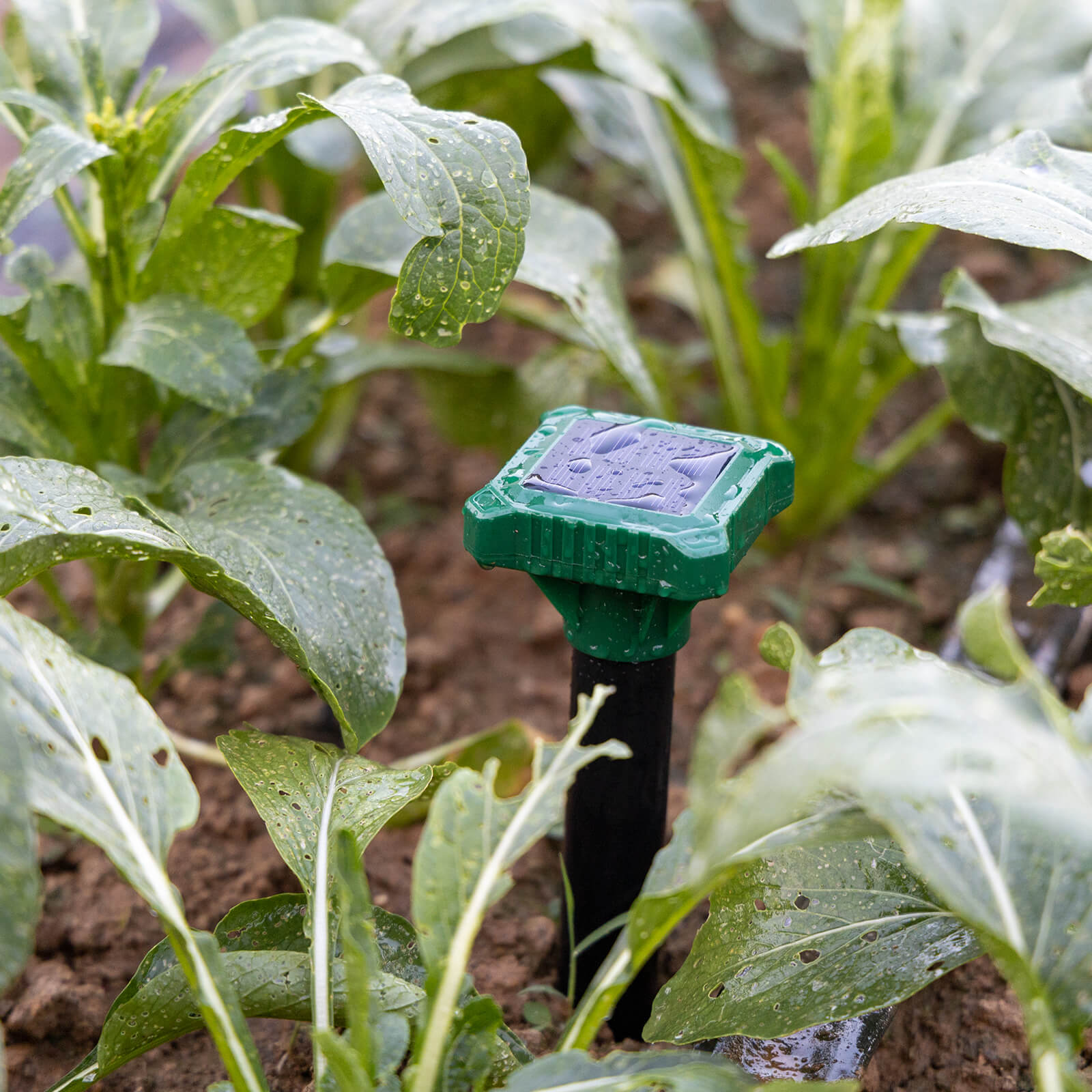 Solar Mole And Gopher Chaser（AR08S） - X-Pest